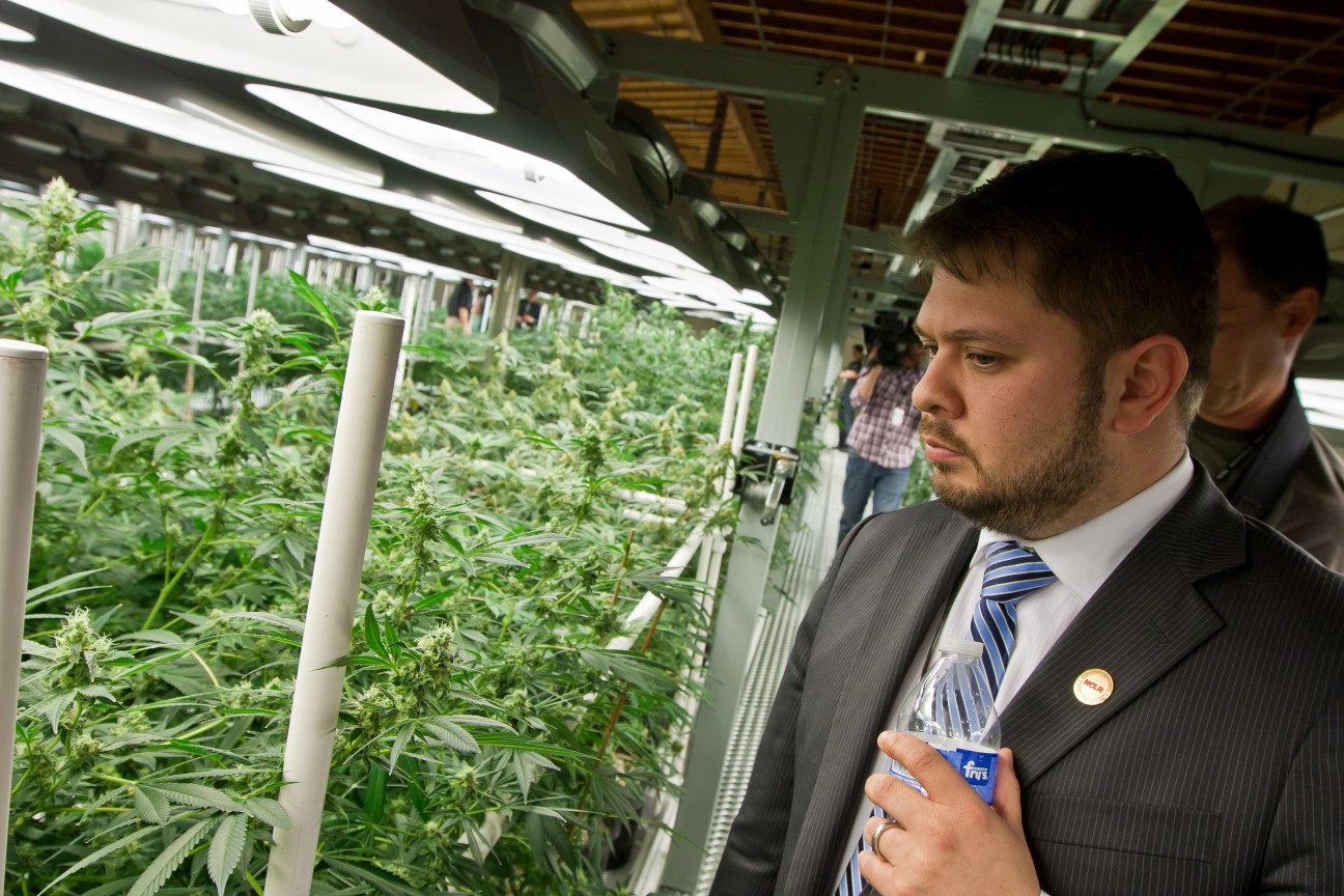 AZ lawmakers tour medical cannabis cultivation site | Arizona Capitol Times