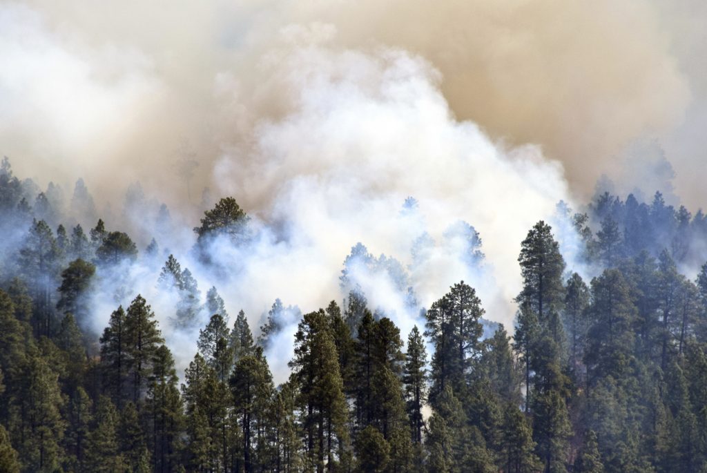 Virus to bring additional challenges to wildfire season | Arizona ...