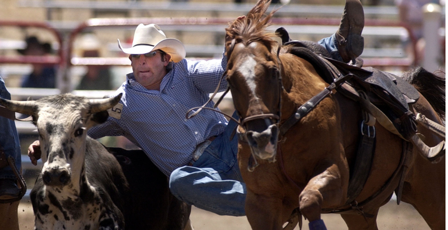 Attorney trying to block state funds for Prescott Rodeo derides house ...